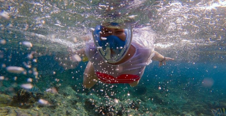 5 Best Full Face Snorkel Masks for Underwater View (2021)